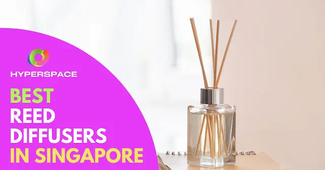 4 Best Reed Diffusers in Singapore [2025] - Hyperspace Singapore